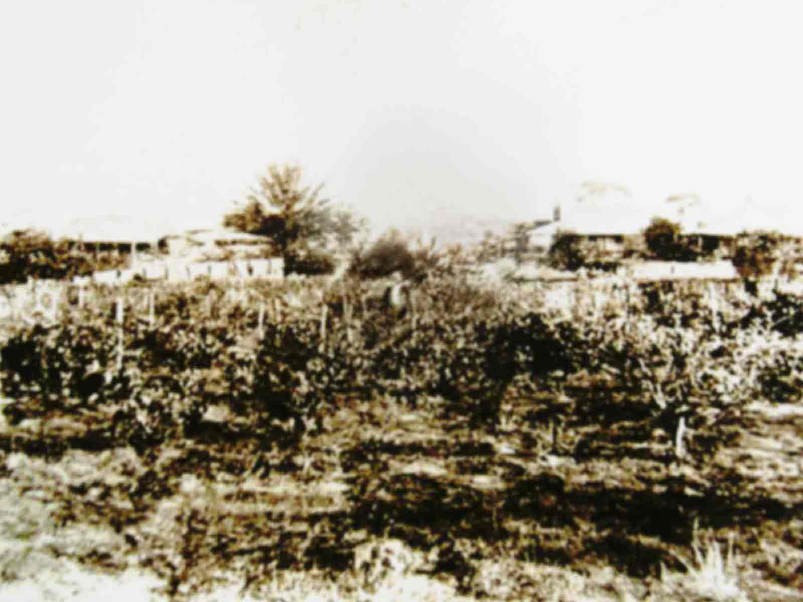 Historic Slater Homestead | Pioneering life in the 19th Century